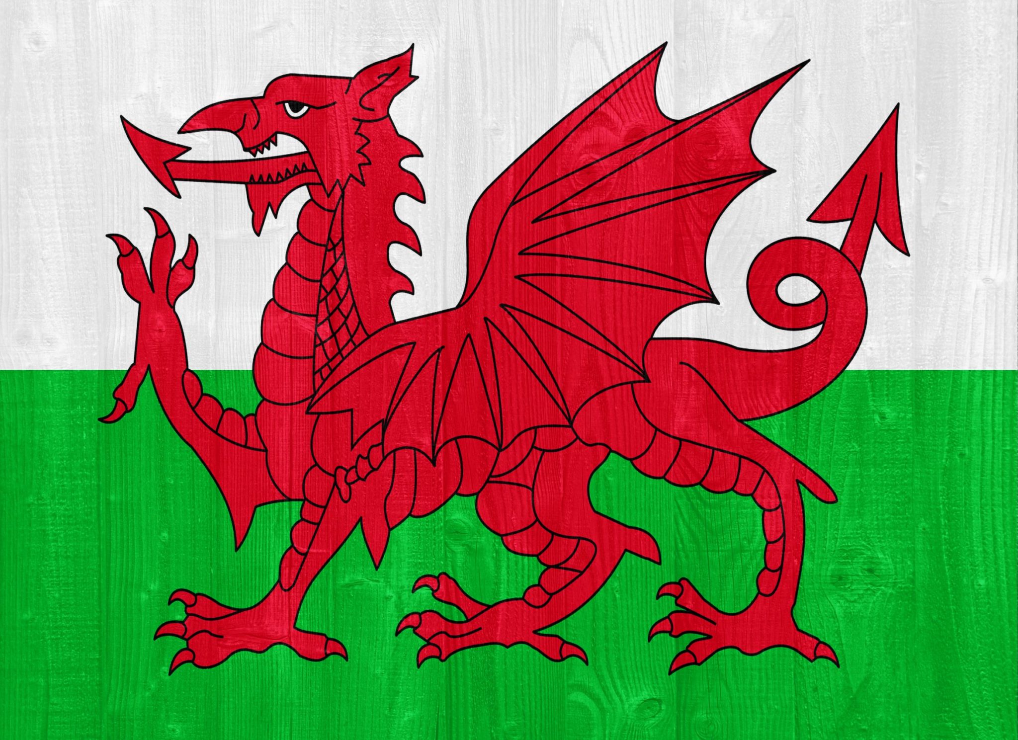 Welsh names for cats! And their meanings! Enwau Cymraeg i gathod ...